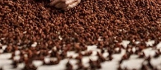 Put Cloves in the Bedroom Under the Bed: Surprising Benefits – Easy ...