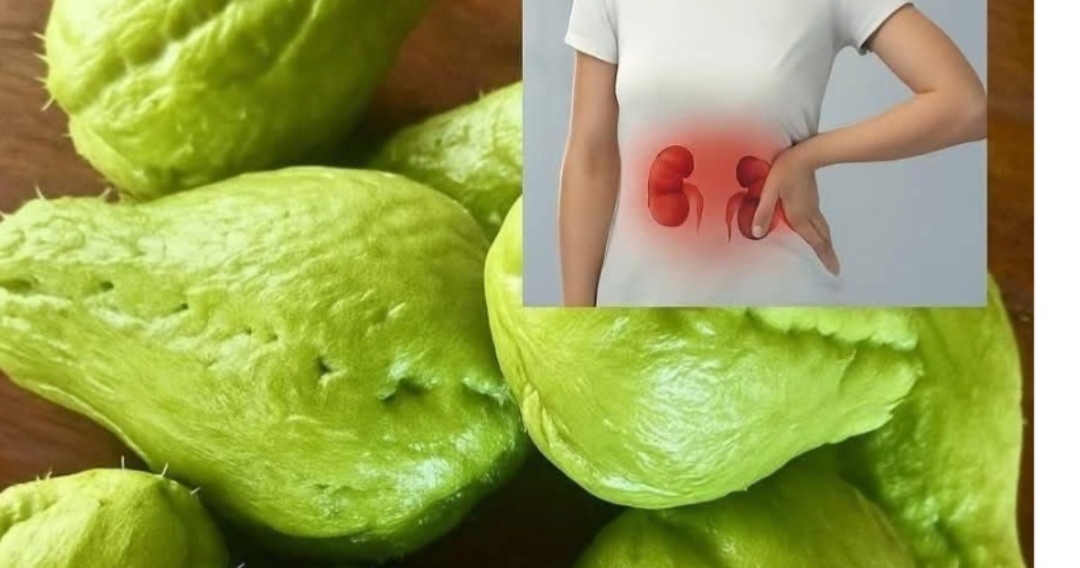 Benefits and Uses of Chayote Juice: A Refreshing Boost for Your Health ...